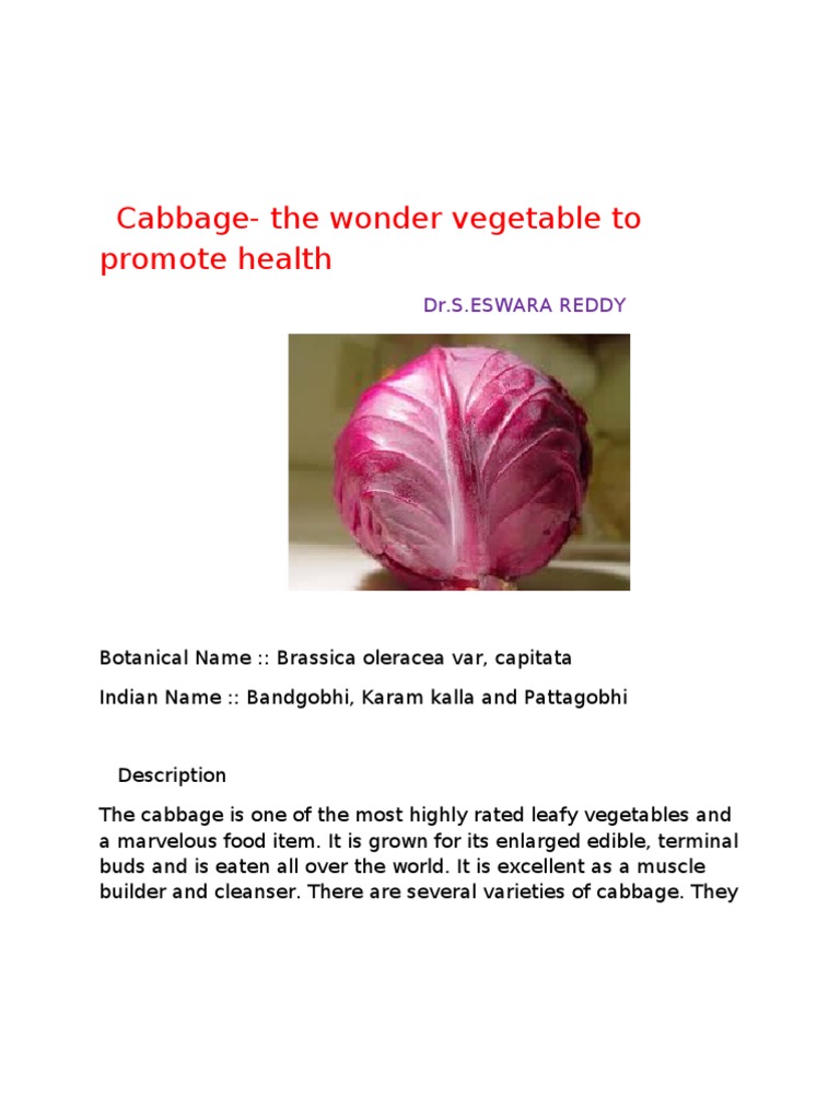 Cabbage-The Wonder Vegetable To Promote Health | PDF | Cabbage | Vegetables