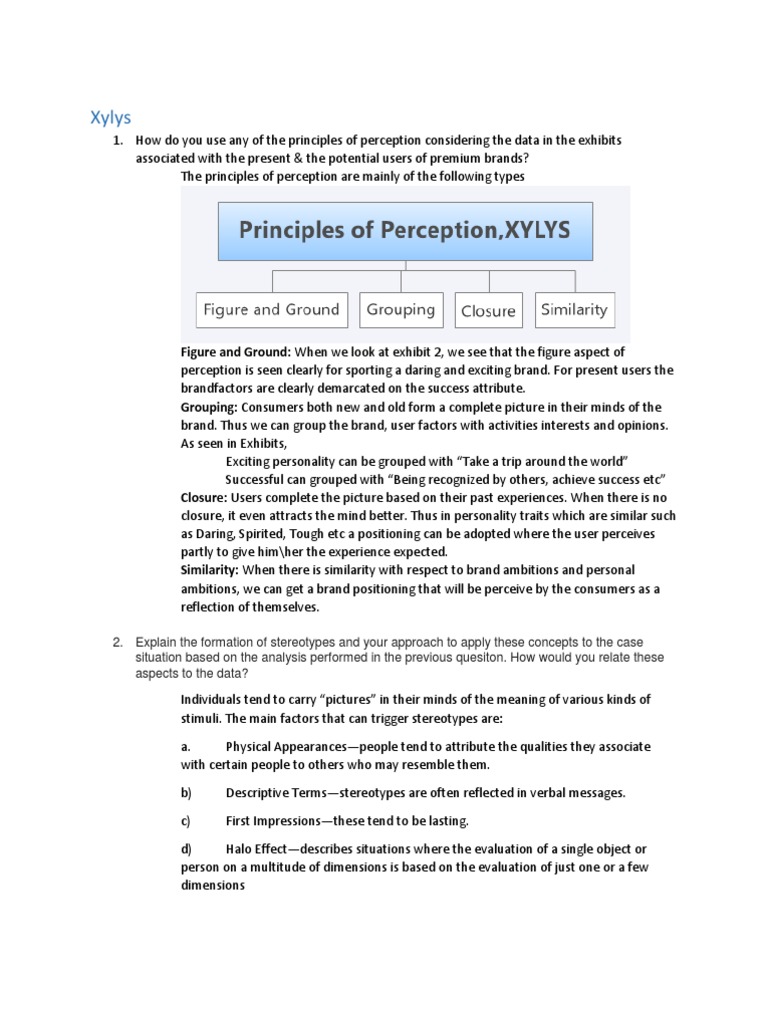 Xylys | PDF | Perception | Stereotypes