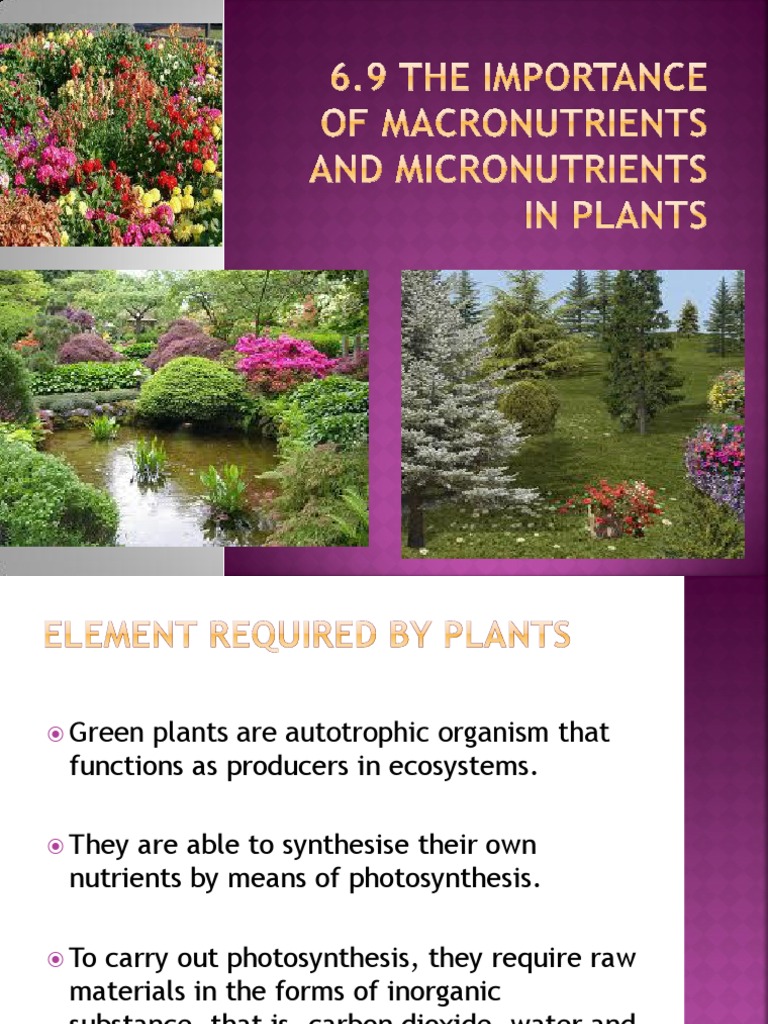 Macronutrients and Micronutrients in Plants | PDF | Nutrients ...
