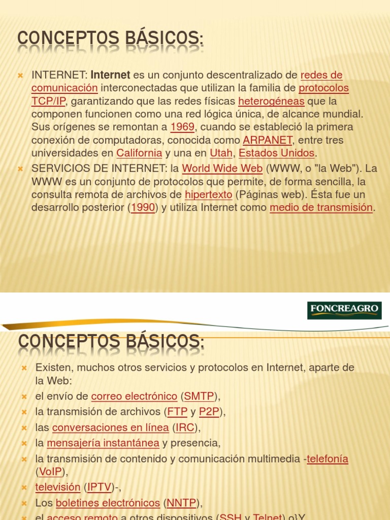 Conceptos Basicos de Internet y Terminología | PDF | Hipervínculo | Internet