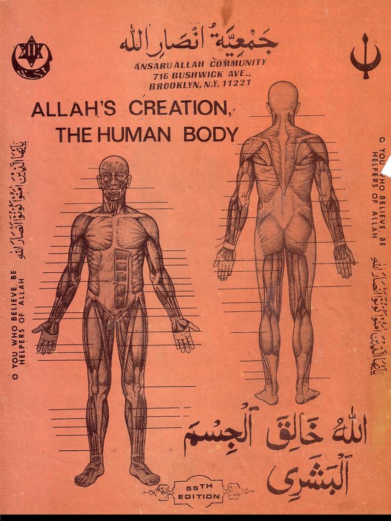 Allah s Creation the Human Body by Dr Malachi z York El