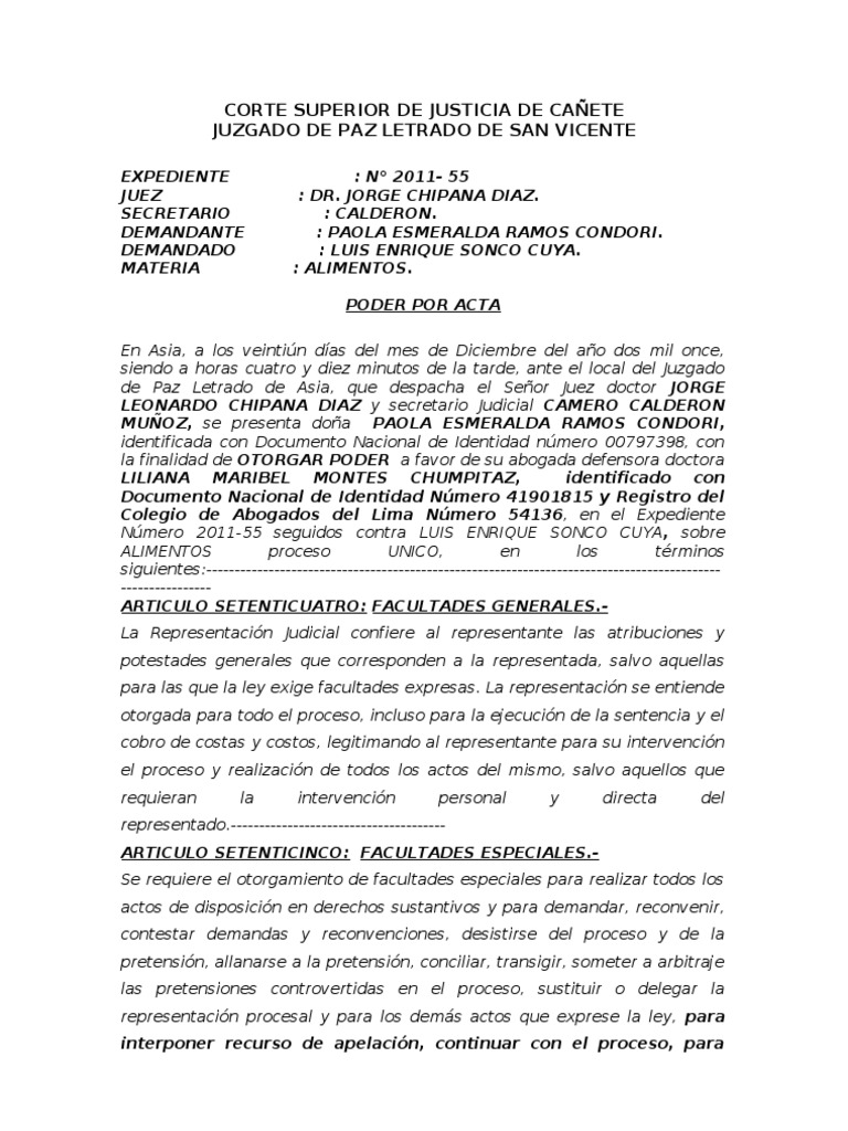 Poder Por Acta | PDF