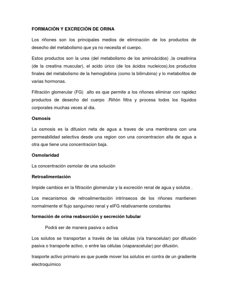 diuresis | Riñón | Anatomía