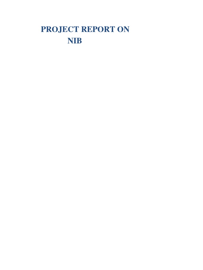 Project Report On Nib | PDF | Digital Subscriber Line | Internet Access