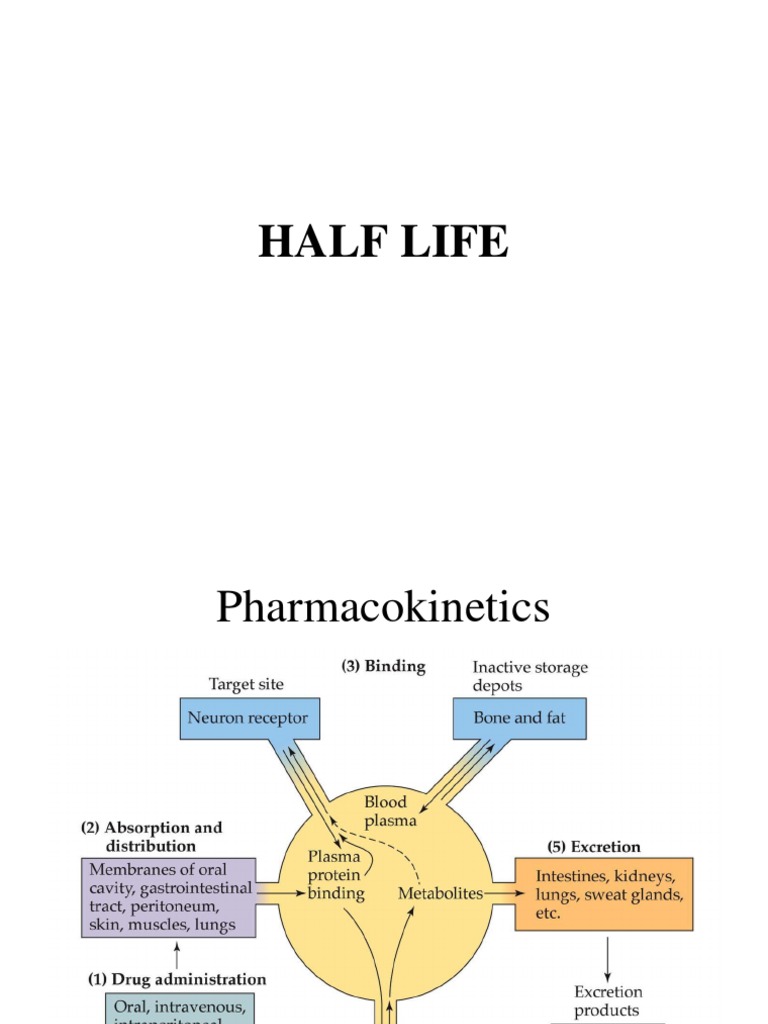 HALF LIFE | Pharmacokinetics | Drugs