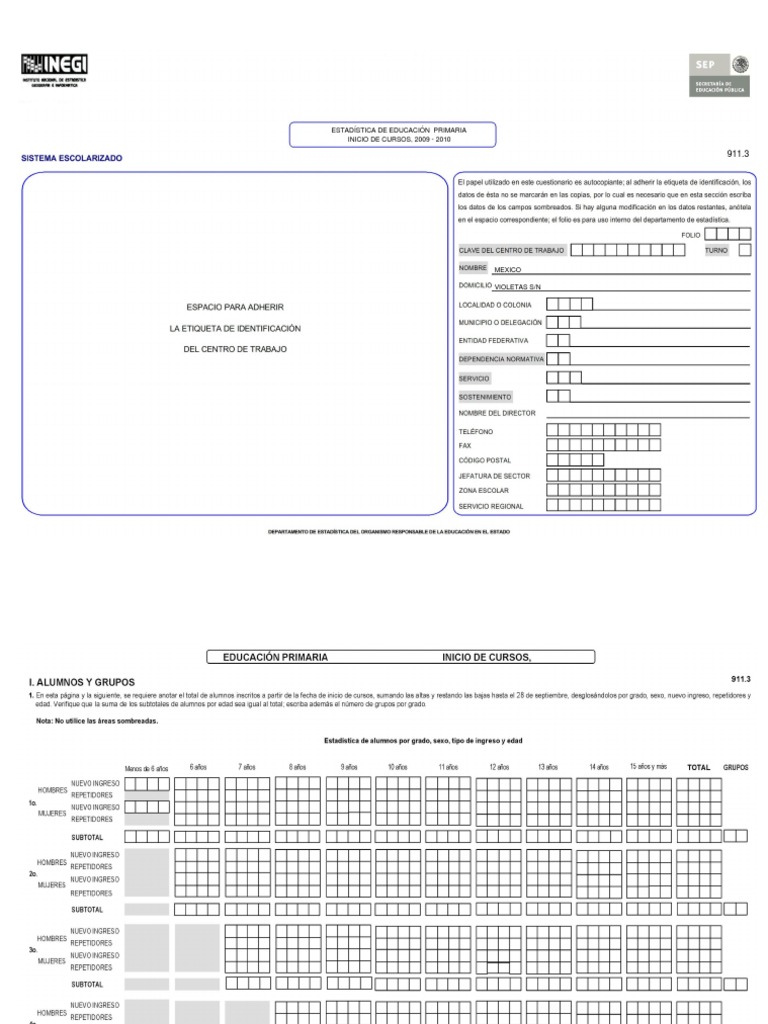911.3 Formato Blanco | PDF