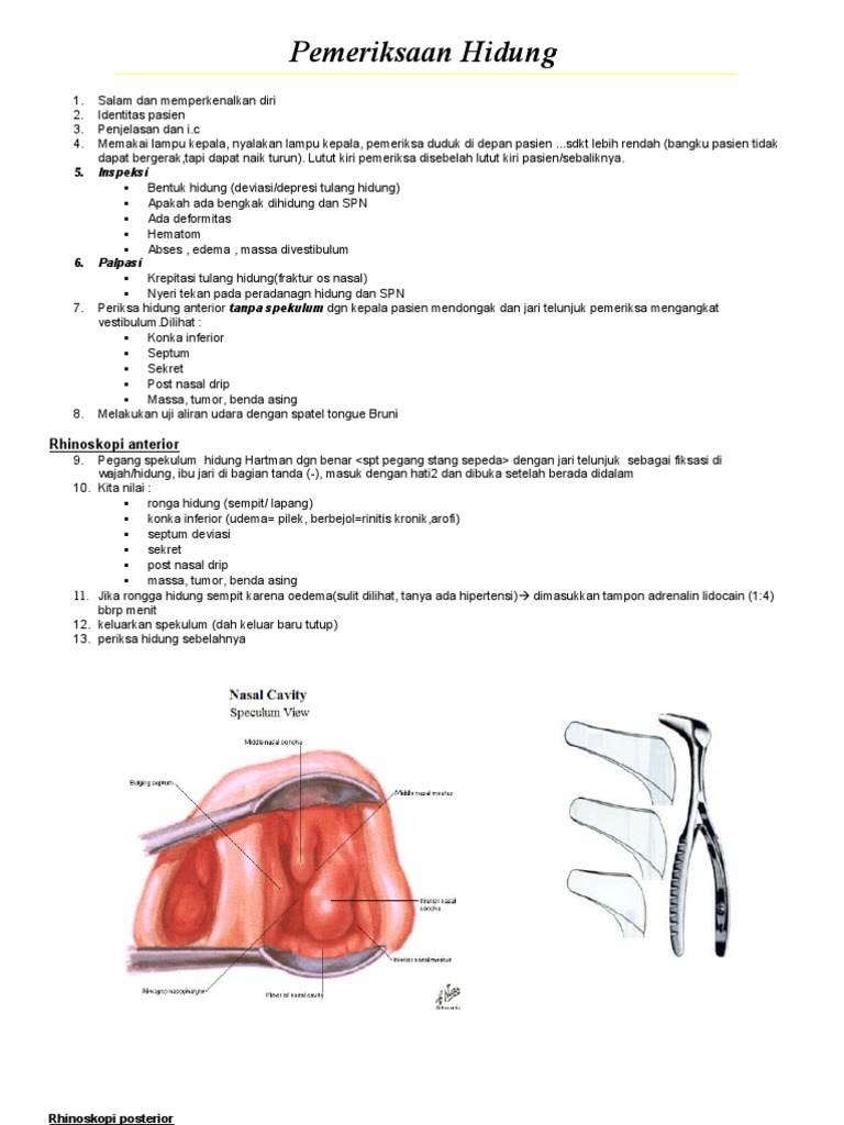 Pemeriksaan Hidung | PDF | Seni & Disiplin Bahasa