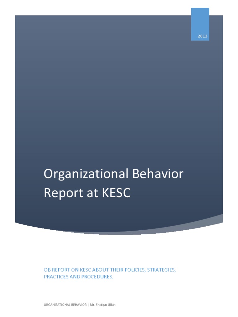 Organizational Behavior Report On KESC | Download Free PDF | Goal ...