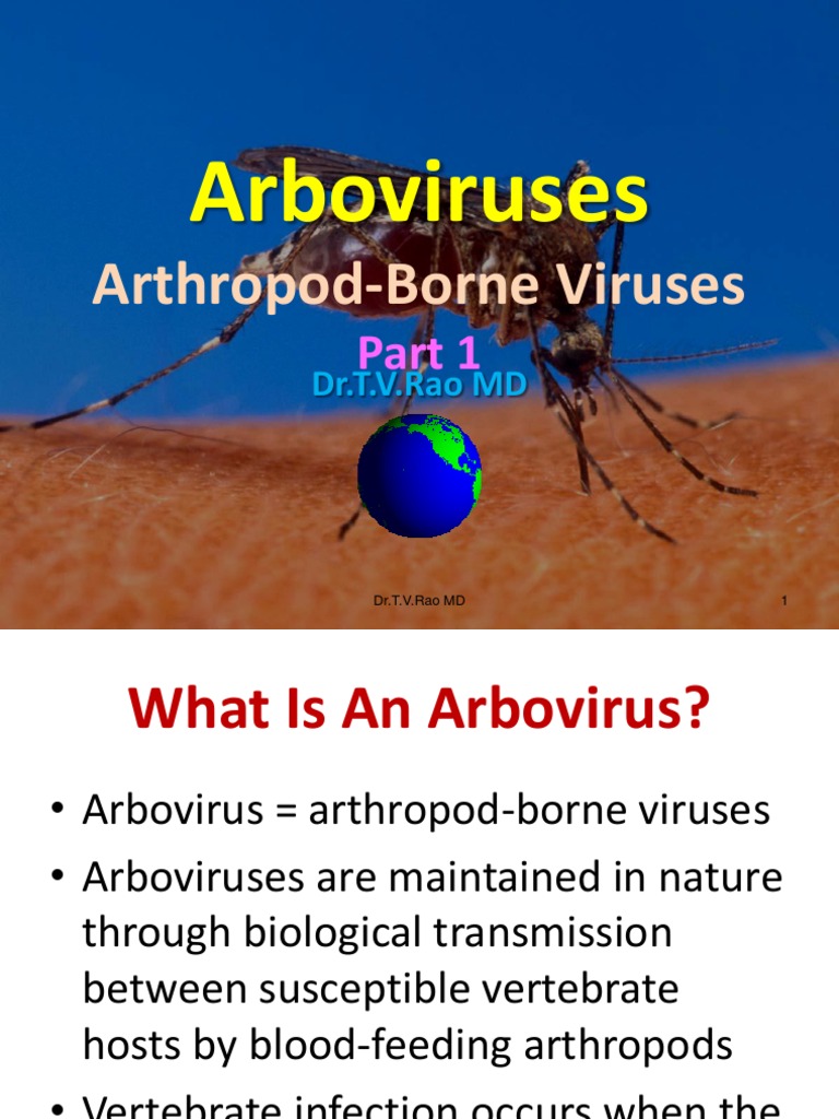 Arthropod-Borne Viruses Part One | PDF | Virus | Yellow Fever