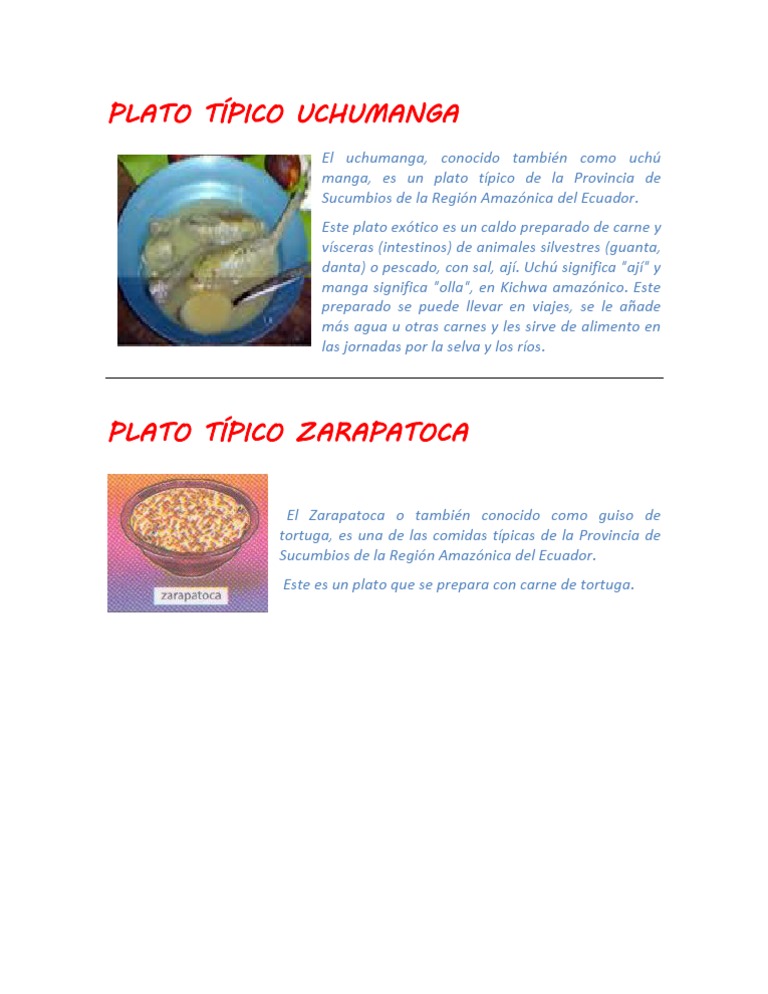 Platos Tipicos Del Oriente o Amazonia | PDF | Salud y bienestar