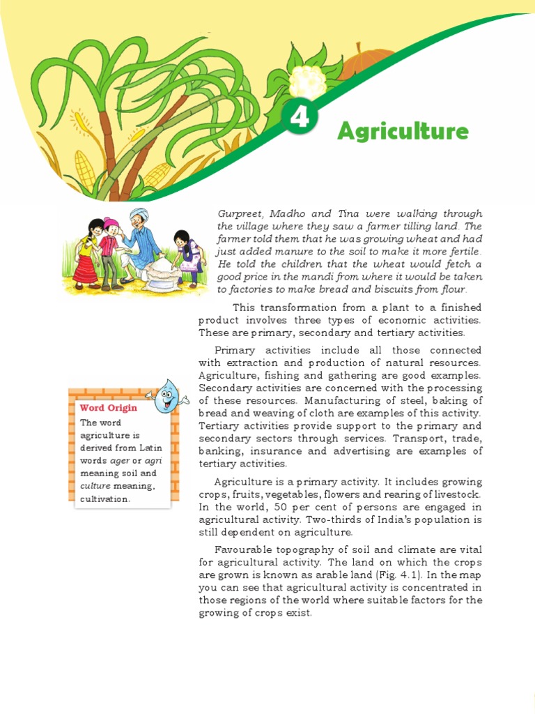 Agriculture, Geography | PDF | Rice | Agriculture