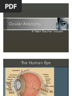 Cow Eye Dissection Lab Report | PDF | Eye | Human Eye