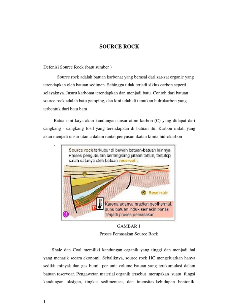 Source Rock | PDF