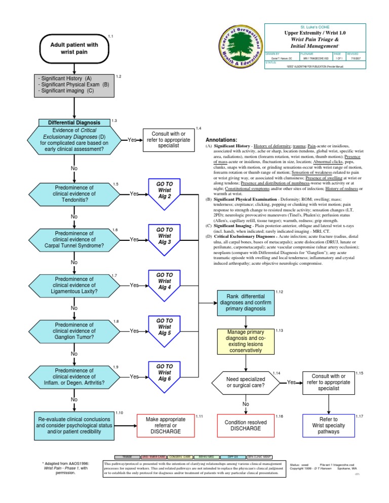 Wrist Pain Triage | PDF | Medicine | Musculoskeletal System