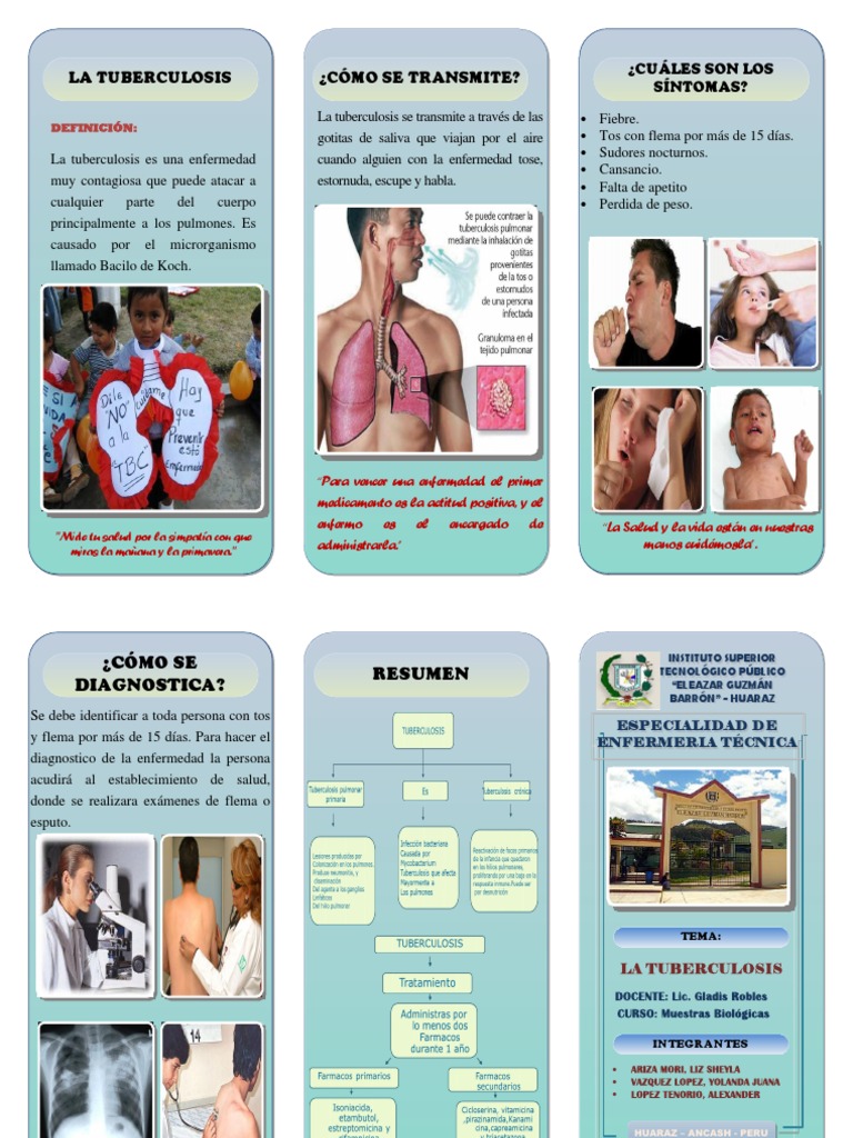 Triptico Tuberculosis | PDF