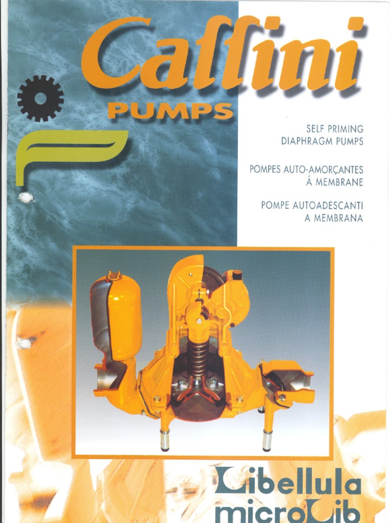 Caffini Cipriano Diaphragm Pumps Overview | PDF | Metals | Chemical ...