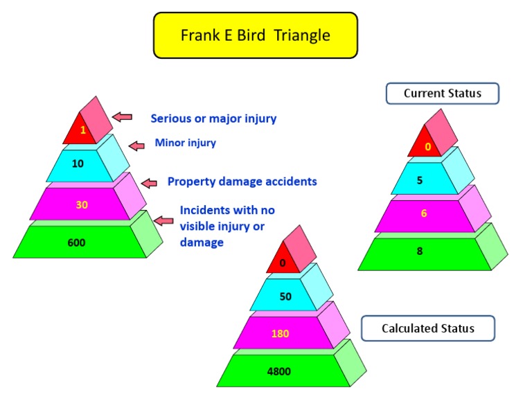 Frank E Bird Triangle: Serious or Major Injury | PDF