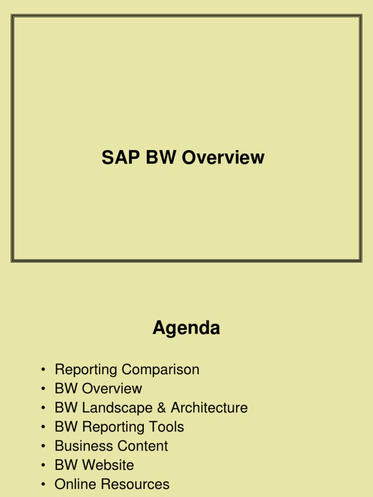 SAP BW Overview and Reporting Tools | PDF
