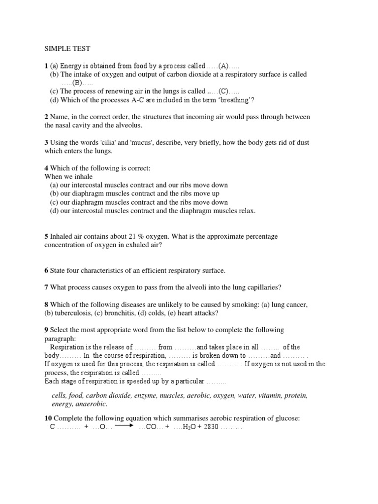 Simple Test Science Year 10 | PDF | Cellular Respiration | Respiratory ...