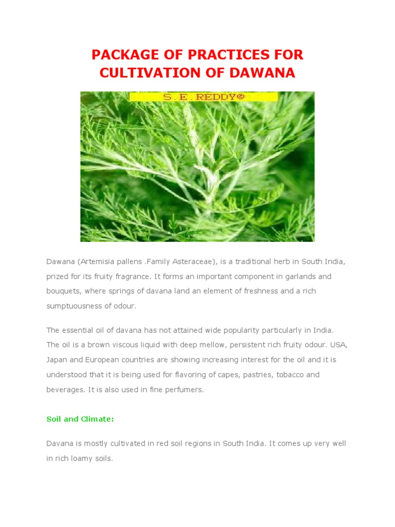 Package of Practices For Cultivation of Dawana | PDF | Sowing | Seedling
