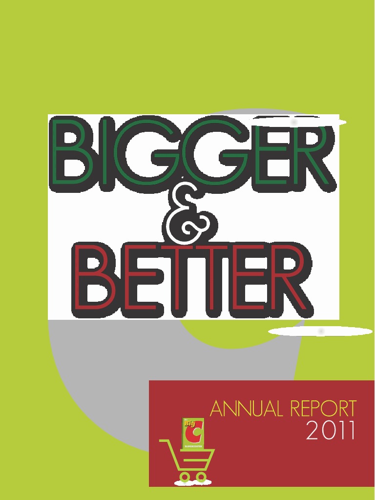 Bigc Ar2011 en | PDF | Retail | Equity (Finance)