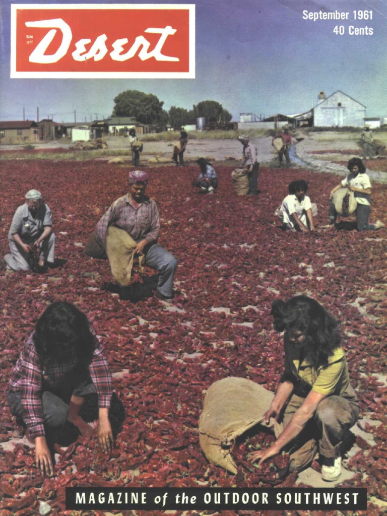 DesertMagazine 1961 September | PDF | Travel