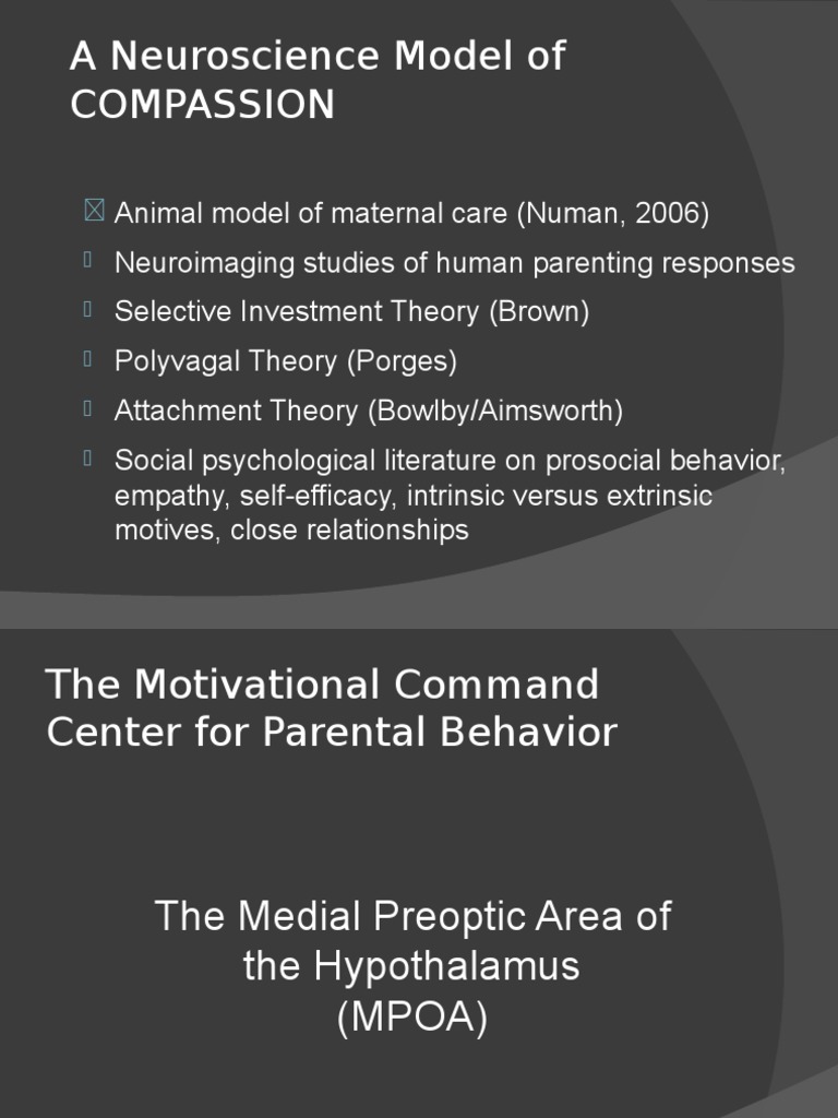 A Neuroscience Model of Compassion - Stephanie Brown | PDF | Attachment ...