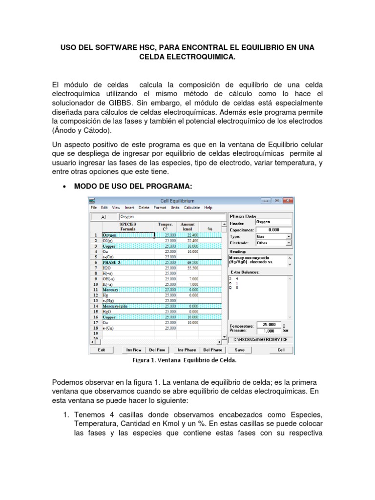 Uso Del Software HSC | PDF | Electroquímica | Electrodo