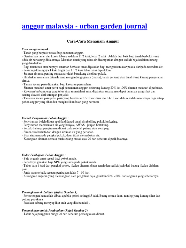 Anggur Malaysia | PDF