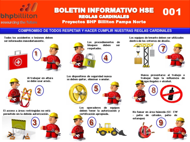 Boletin Informativo Reglas Cardinales | PDF | Seguridad | Informática y ...