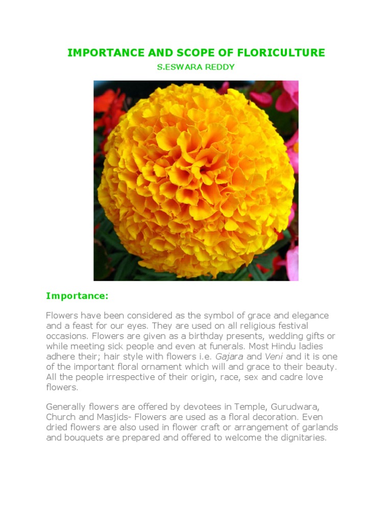 Importance and Scope of Floriculture | PDF | Flowers | Rose