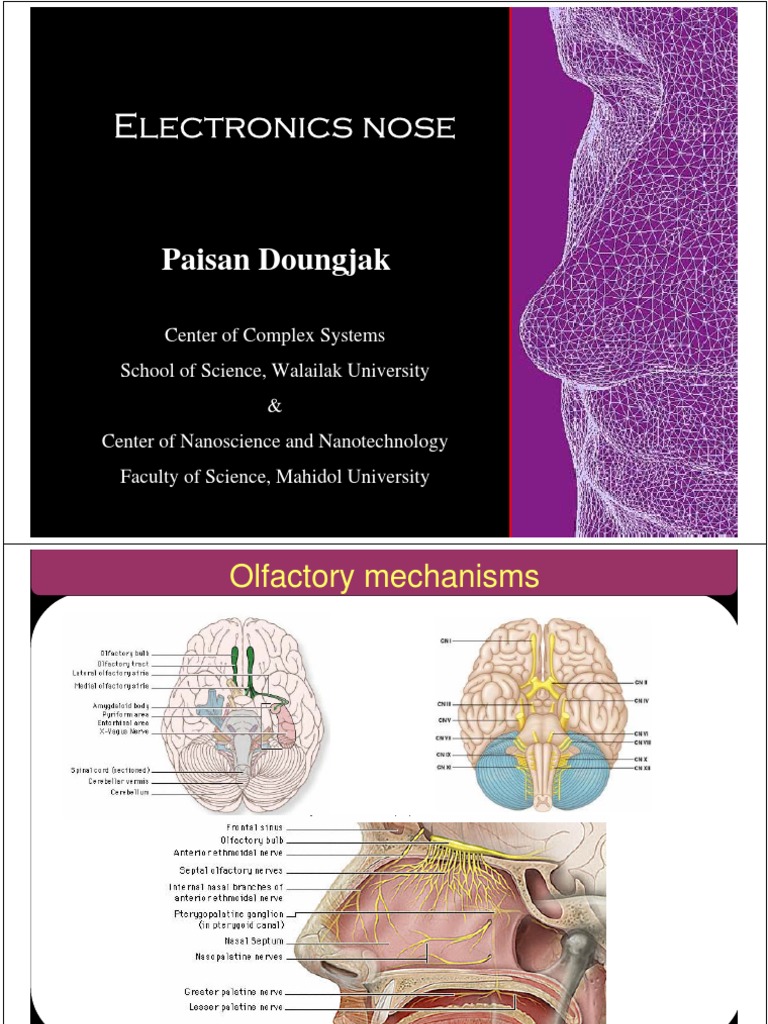 E-Nose | Principal Component Analysis | Data Analysis | Free 30-day ...