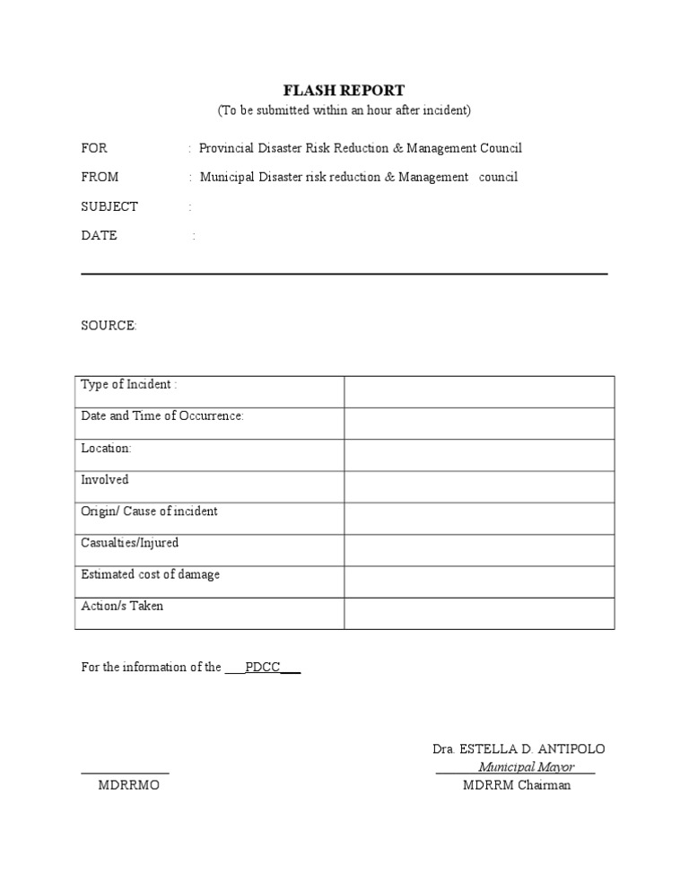 FLASH REPORT Disaster Template | PDF | Politics | Social Science