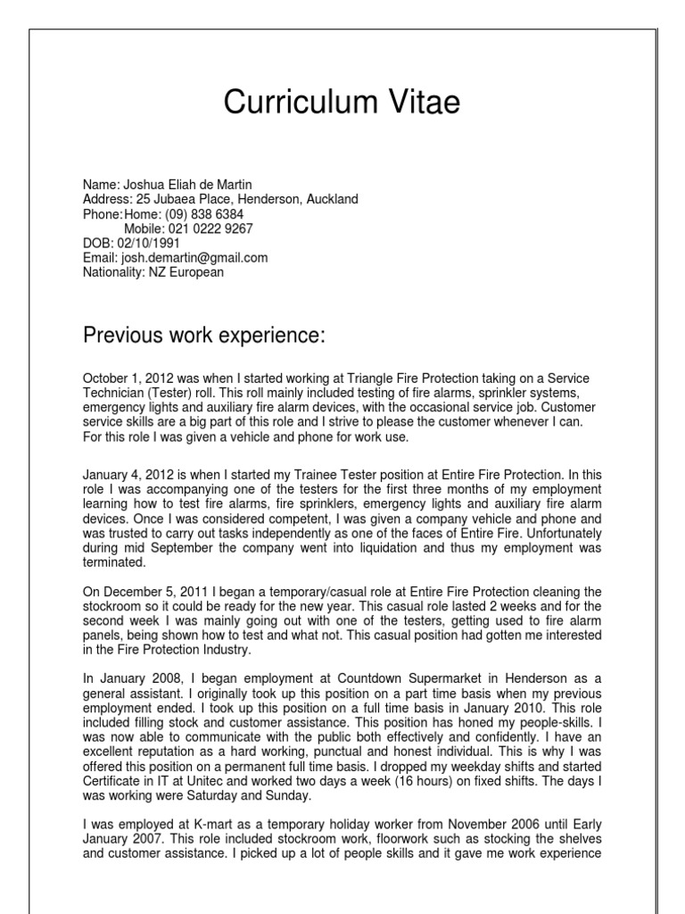 Curriculum Vitae: Previous Work Experience | PDF | Computing | Computing And Information Technology