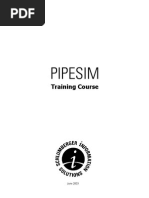 Pipesim Course | PDF | Petroleum Reservoir | Liquids