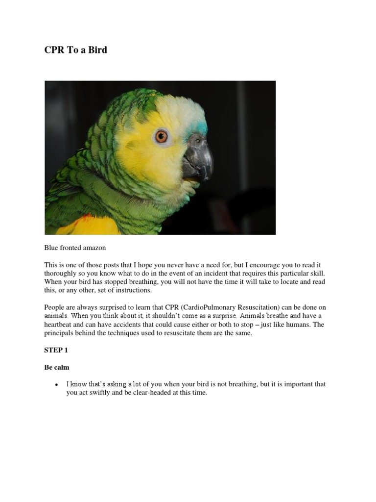 CPR To A Bird | Download Free PDF | Cardiopulmonary Resuscitation ...