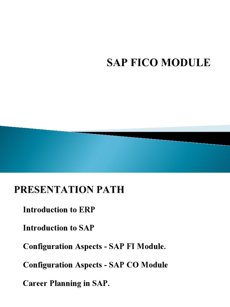 Sap Fico Demo | PDF | Enterprise Resource Planning | Sap Se