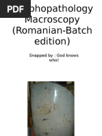 Coduri diagnostice pentru concediu medical | PDF