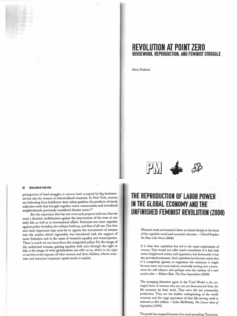 Federici, Silvia The Reproduction of Labor Power in The Global Economy ...