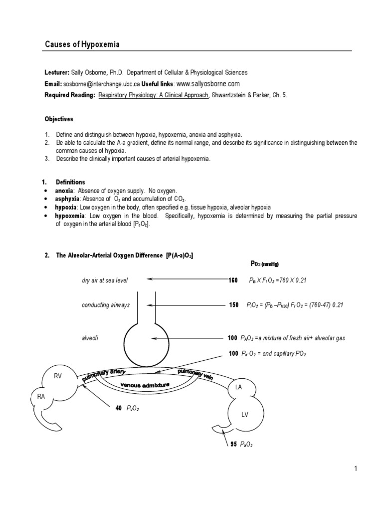 Causes of Hypoxemia | Hypoxia (Medical) | Lung