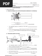 Worksheet Part 2 Plasma Membrane | PDF | Cell Membrane | Biotechnology