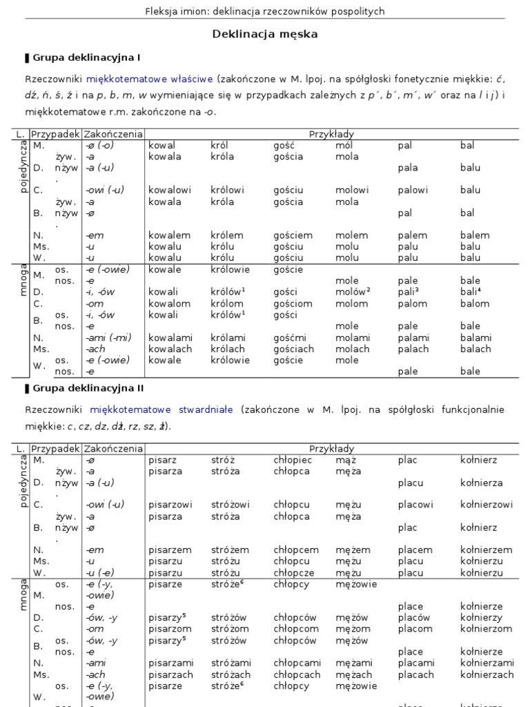 Deklinacje rzeczowników | Noun | Language Mechanics
