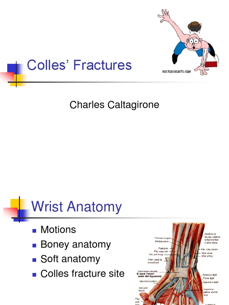 Colles Fracture | PDF | Anatomical Terms Of Motion | Elbow