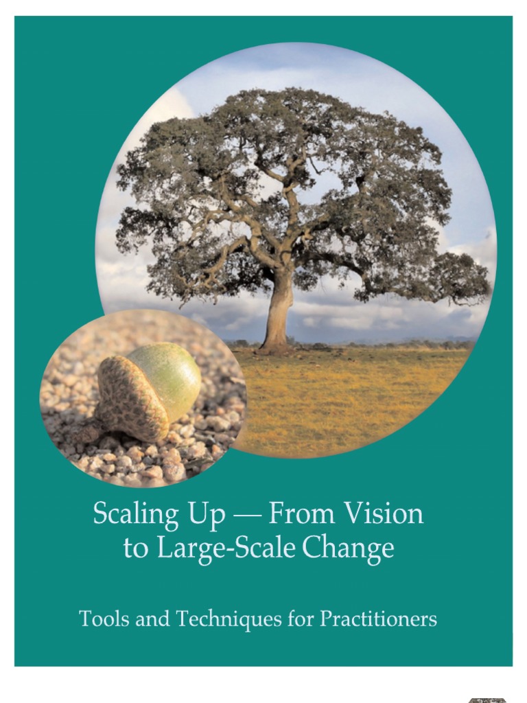 Scaling Up Toolkit - From Vision To Large-Scale Change | PDF ...