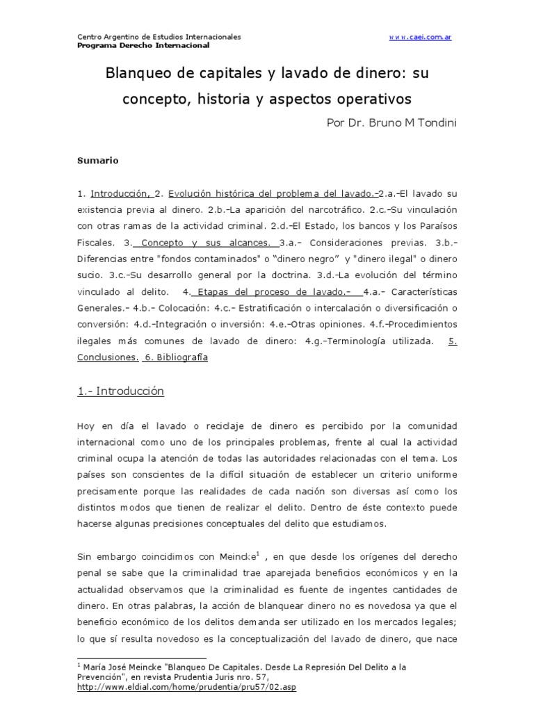 Blanqueo de Capitales: Conceptos y Etapas | PDF | Lavado de dinero ...