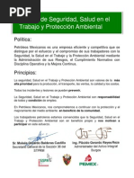 5-Política y Principios de SSPA en PEMEX | PDF | Desarrollo sostenible ...