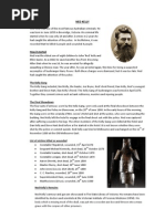 Deadly Unna Chapter Summaries | PDF