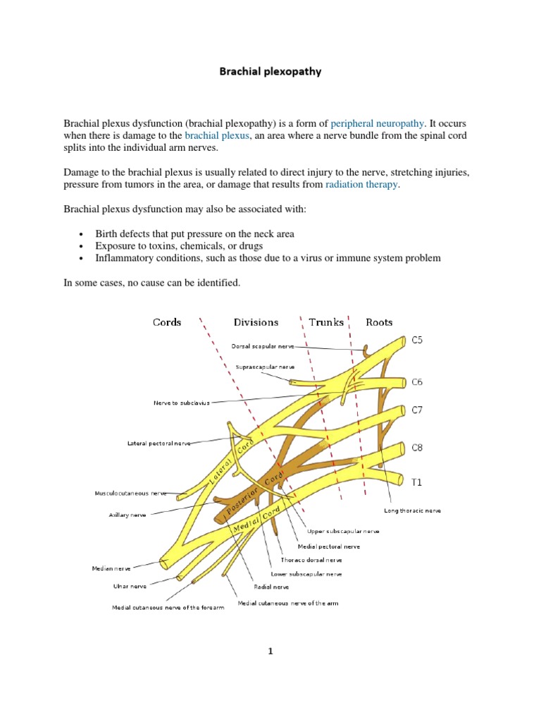 Brachial Plexopathy: Peripheral Neuropathy Brachial Plexus | PDF ...