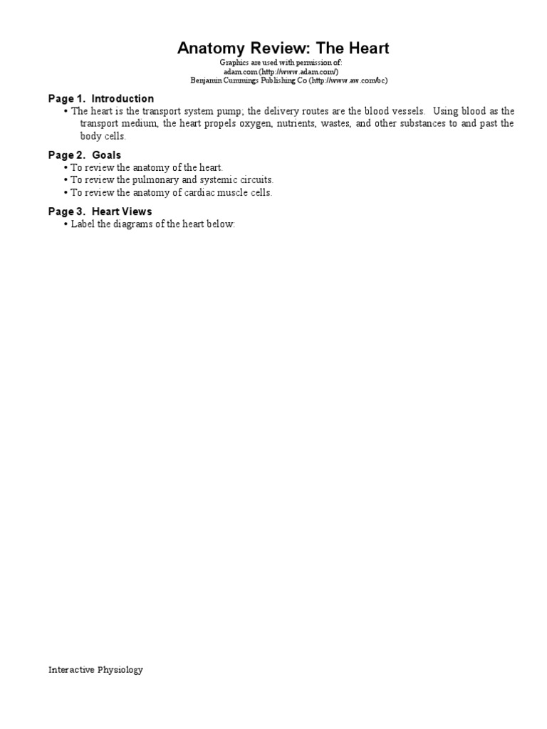 Anatomy Review Heart | PDF | Heart | Circulatory System