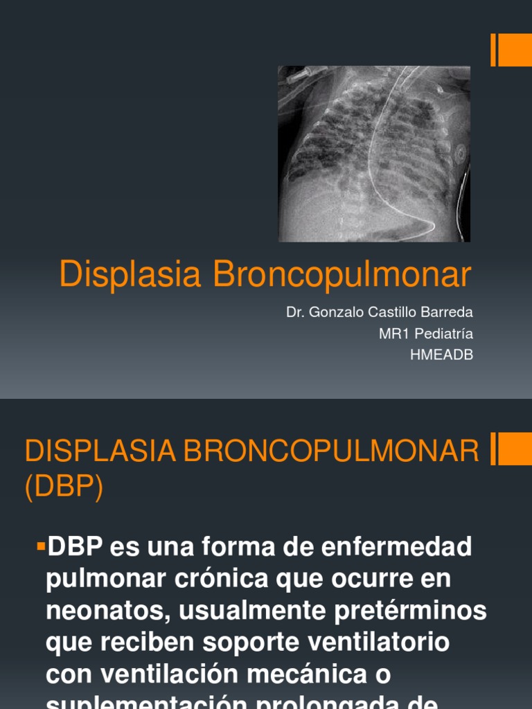 Displasia Broncopulmonar Castillo | PDF | Inflamación | Antioxidante